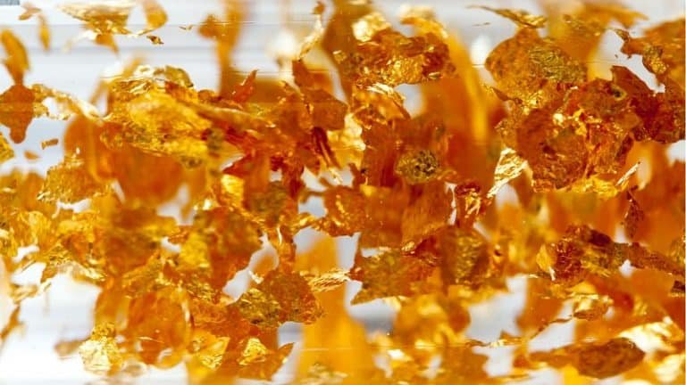 Best Fine Gold Recovery Systems (2026)